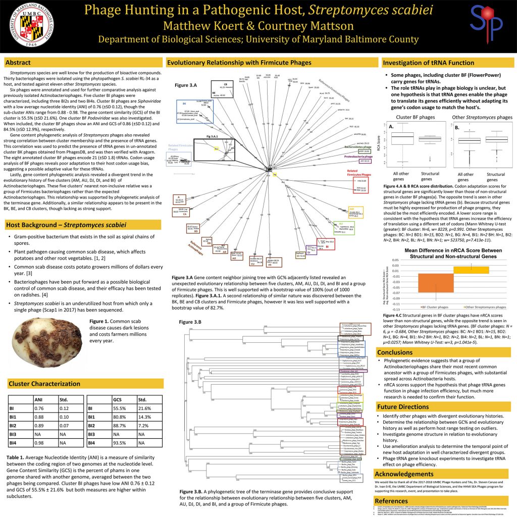2018 SEA Symposium Poster – Phage Hunters – UMBC
